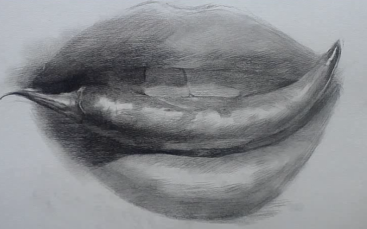 【素描】如何画出质感?超干货!示范讲解!理解质感 只需掌握这几步! 下