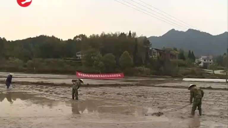 厉害了!引进全自动水稻育秧播种流水线日产量超千亩!