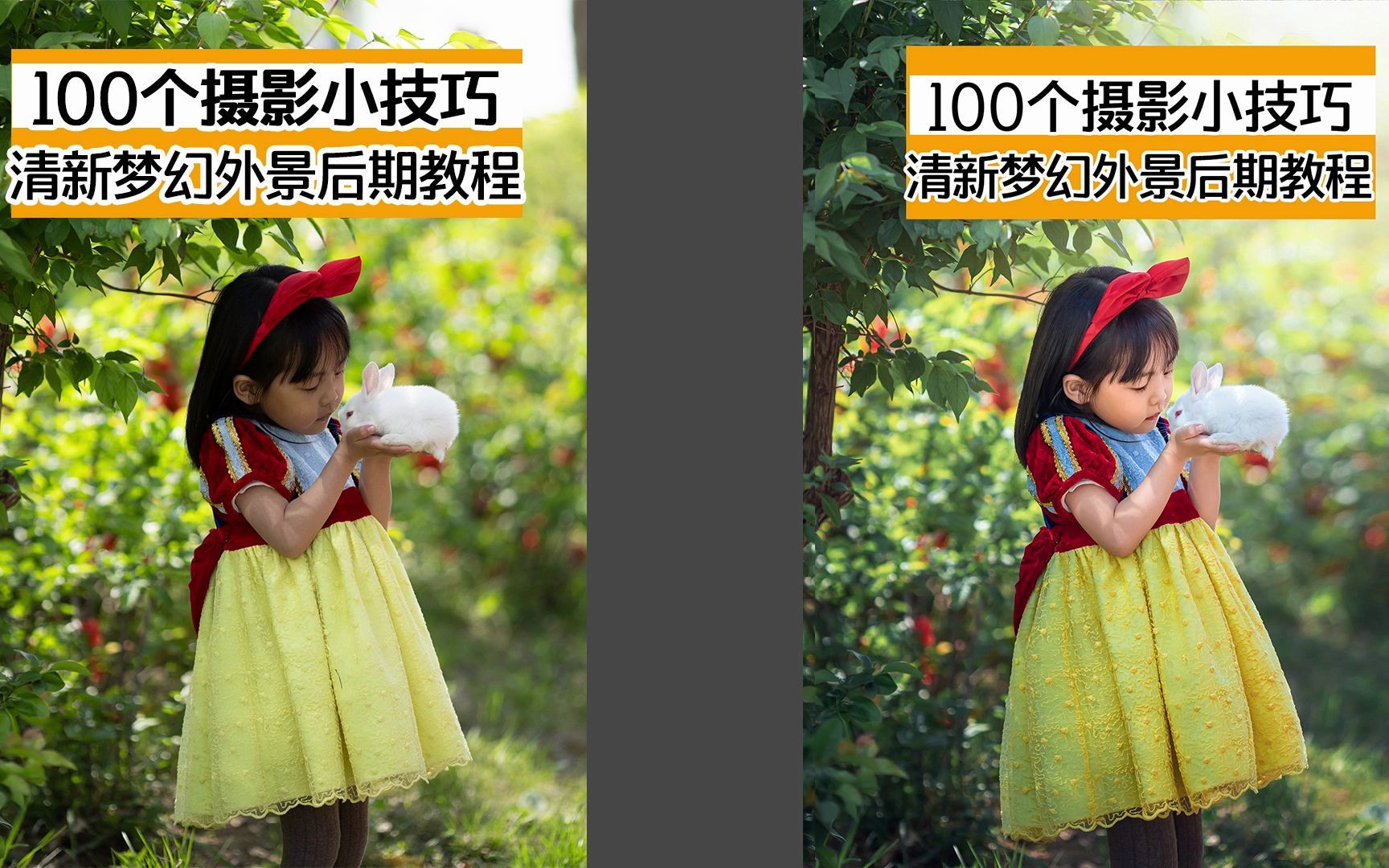 100个摄影小技巧21|清新梦幻外景后期教程