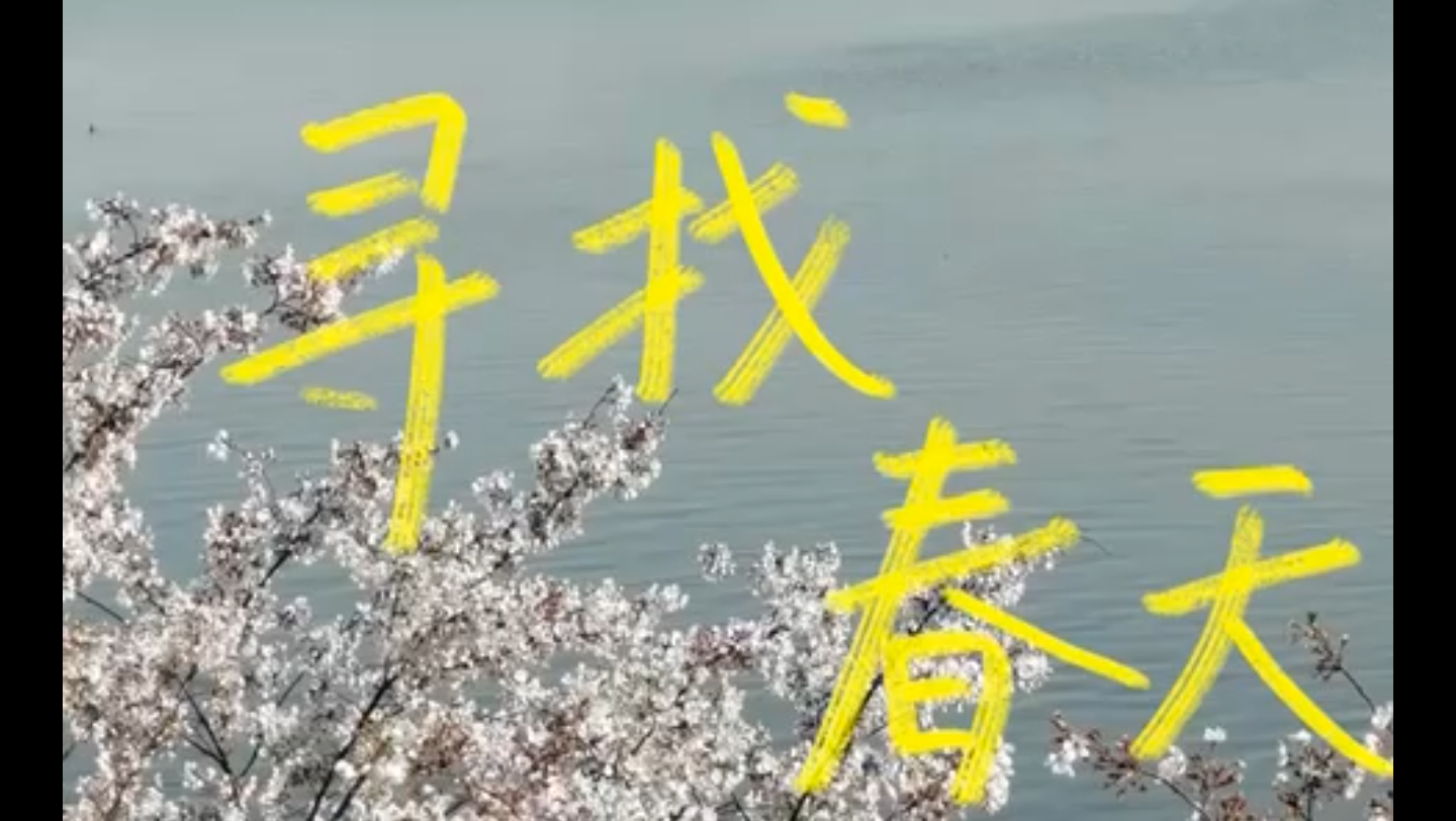 小学命题作文(×) 《寻找春天》