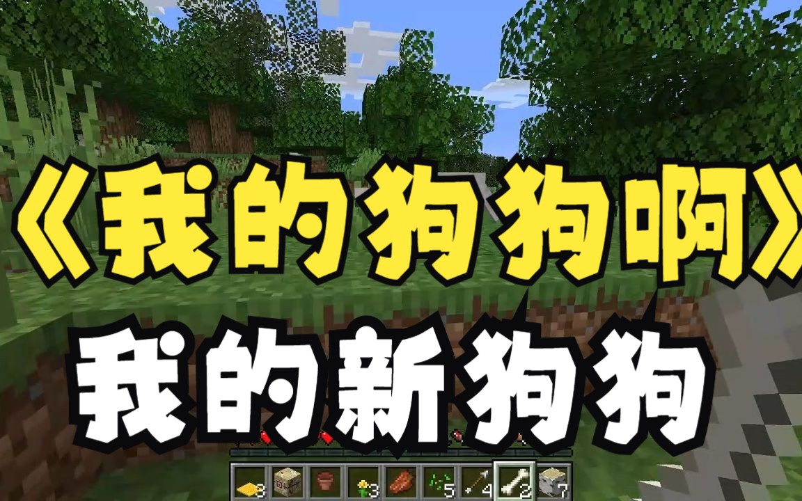 我的世界如何快速白手养一只狗狗