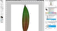 vue 制作植物教程06