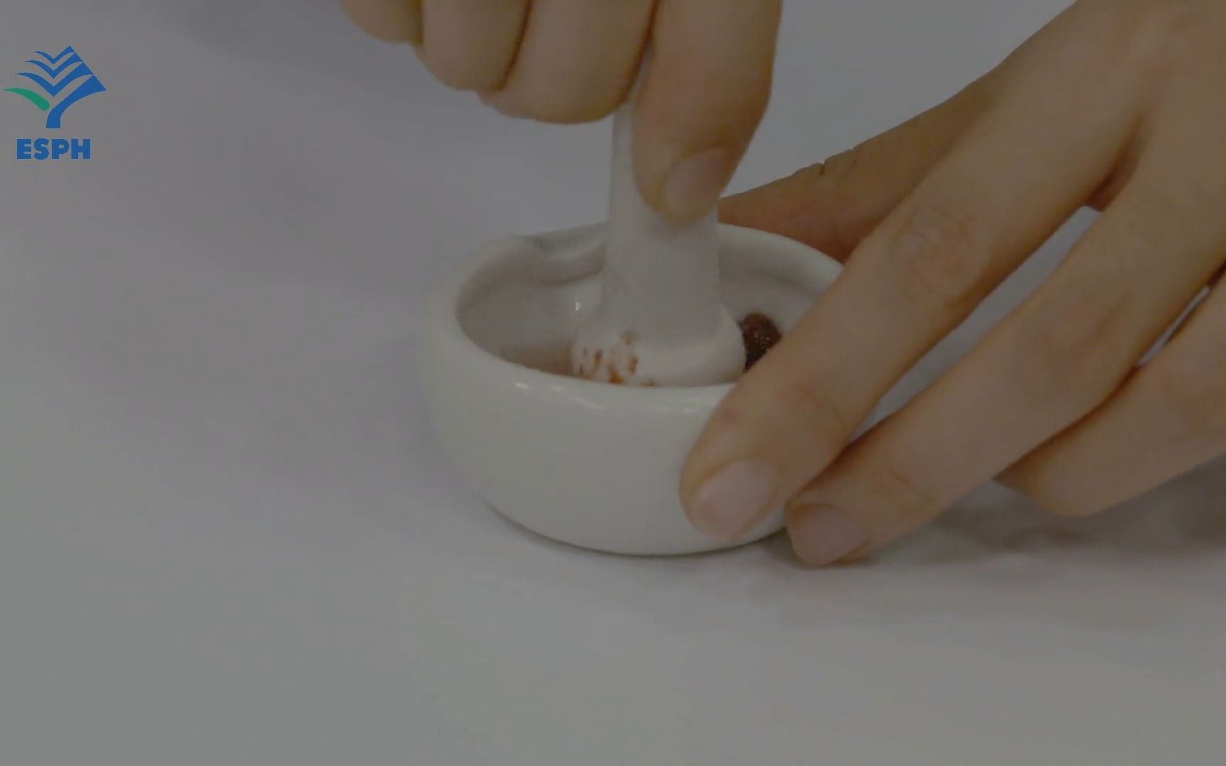 比较过氧化氢在不同条件下的分解 (酶的高效性)