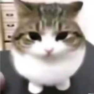 七鹰天领 
