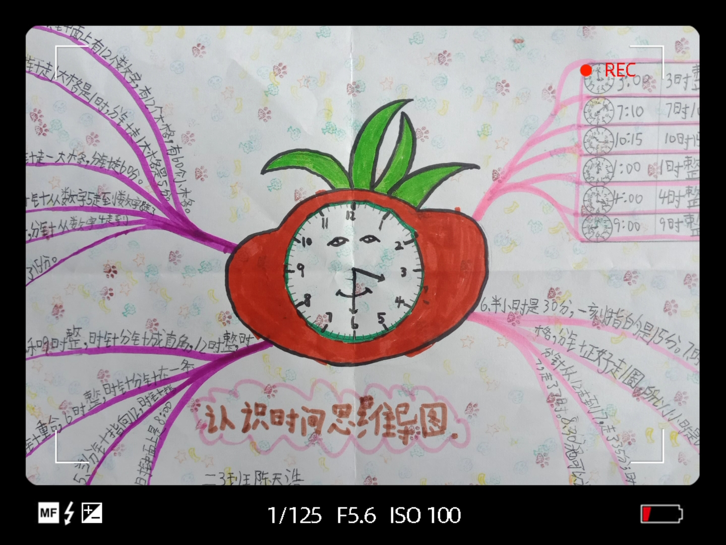 二年级认识时间思维导图