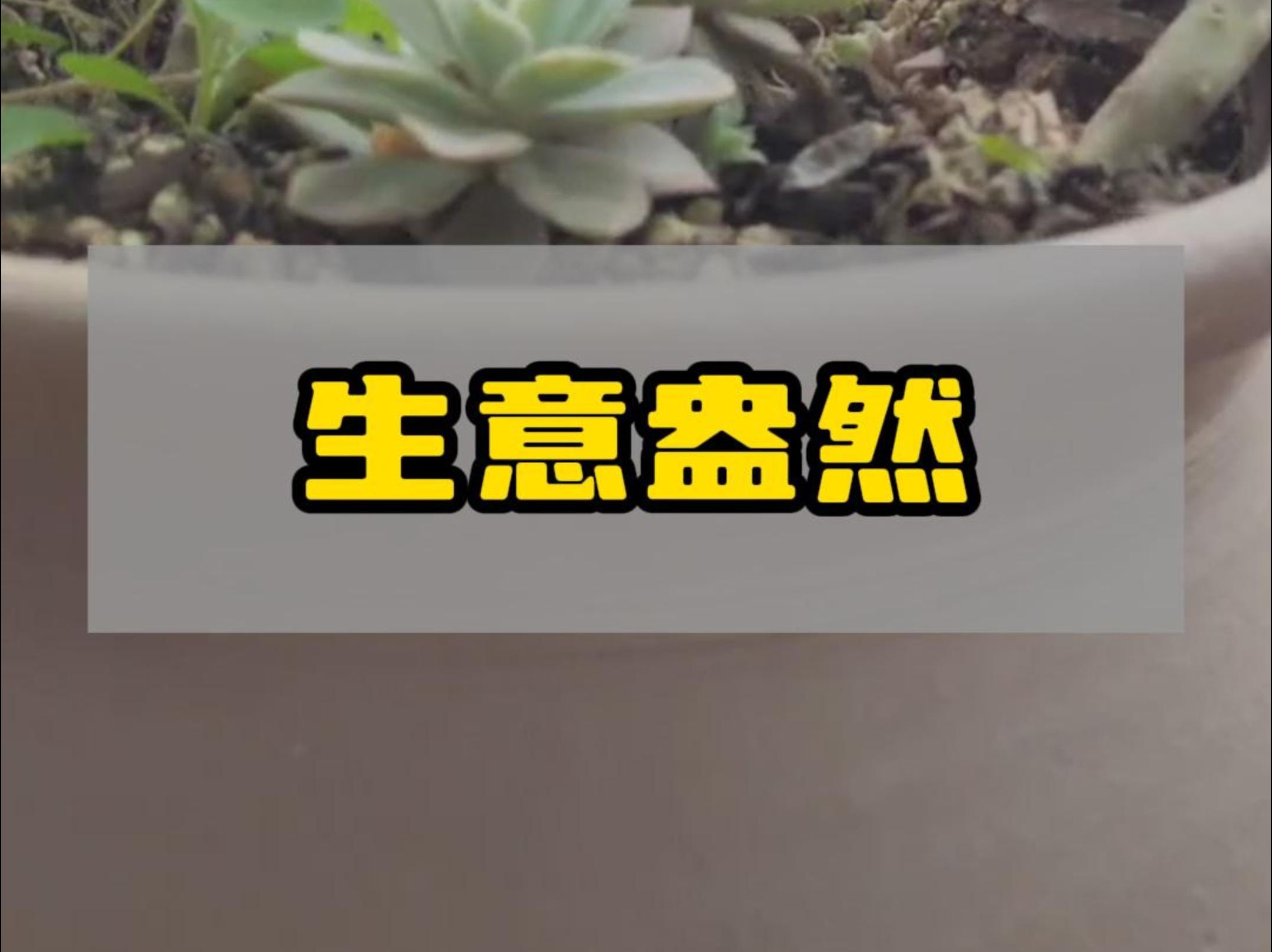 生意盎然#卷帘门#卷闸门#防火卷帘门#电动卷帘门#快速卷帘门#卷帘...