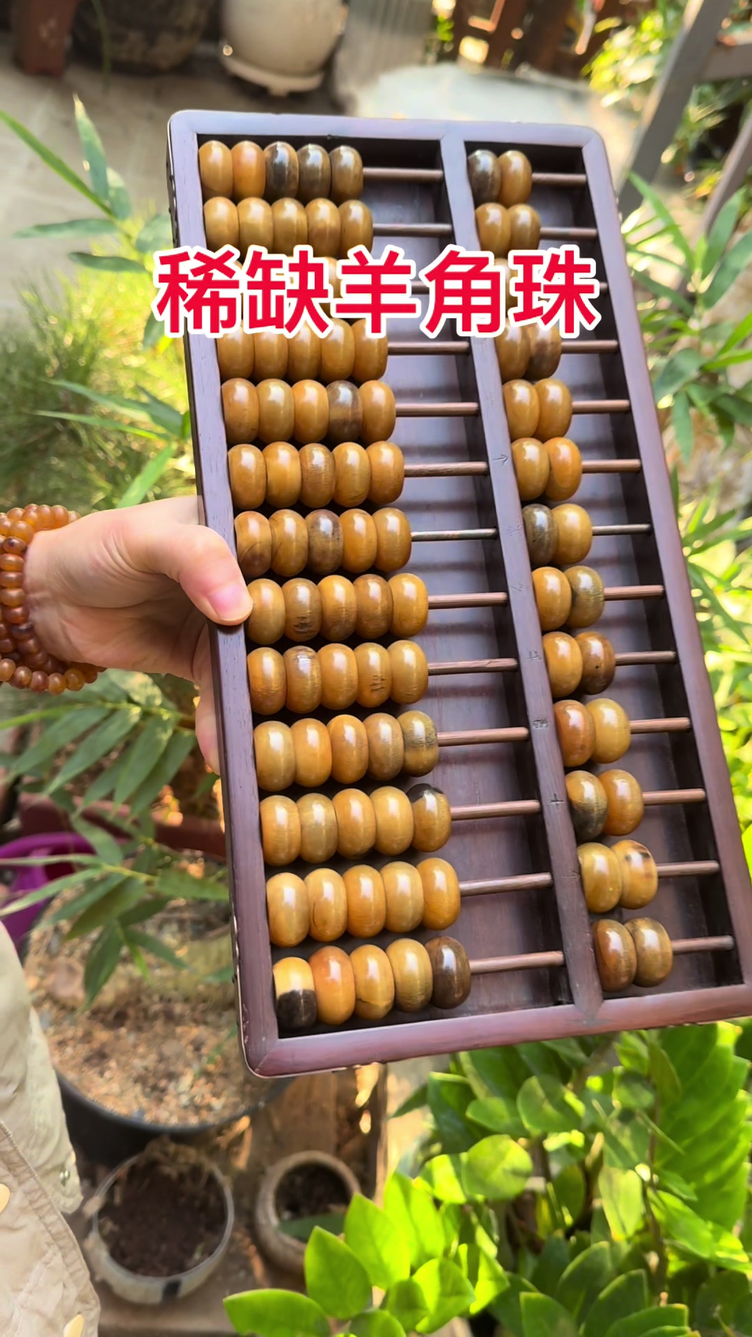 13档羊角珠算盘 到清13档海黄紫油梨算盘,稀缺羊角珠#珠算 #算盘#...