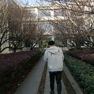 WZU计算机学院组织部 