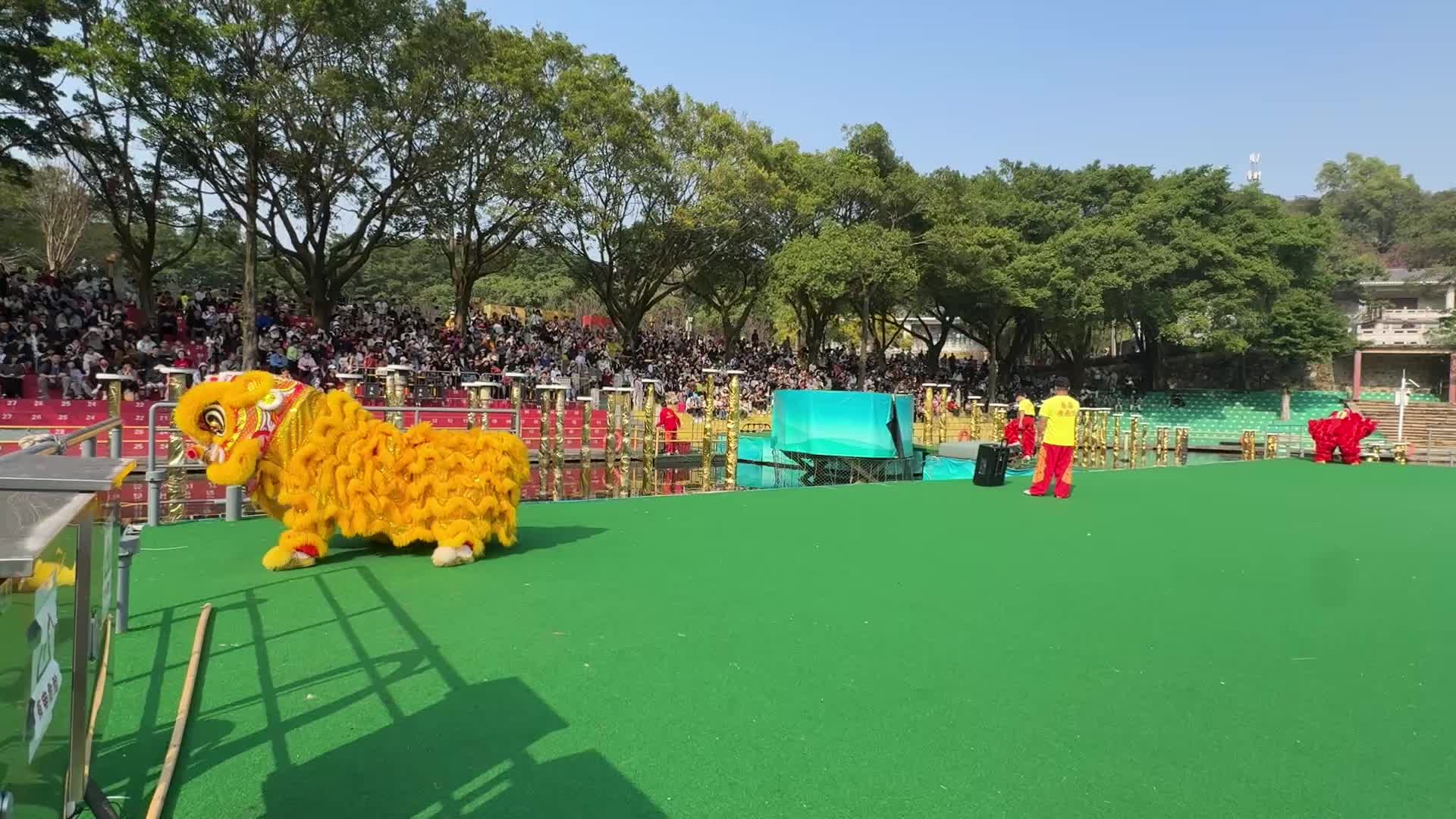 #比赛现场视频 #现场直击赛场 #非遗文化传承 #醒狮表演