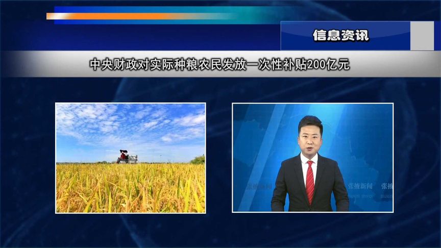中央财政对实际种粮农民发放一次性补贴200亿元