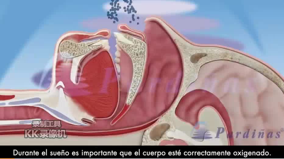 国外大神做的打呼噜的视频,总算知道为啥打呼噜了