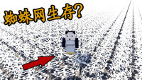 皮卡解说我的世界 第一季 第221集 脚黏!你能在蜘蛛网里生存吗?