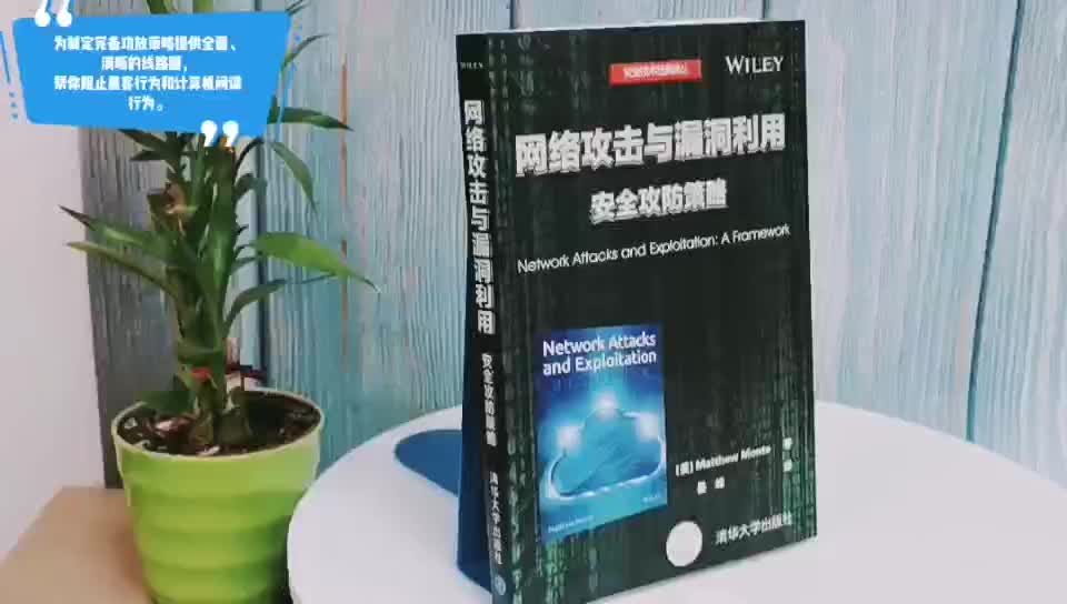 网络攻击与漏洞利用 安全攻防策略