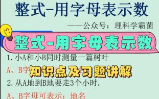 【初中初一数学】【零基础】整式-用字母表示数