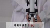 制作并观察洋葱鳞片叶表皮细胞临时装片