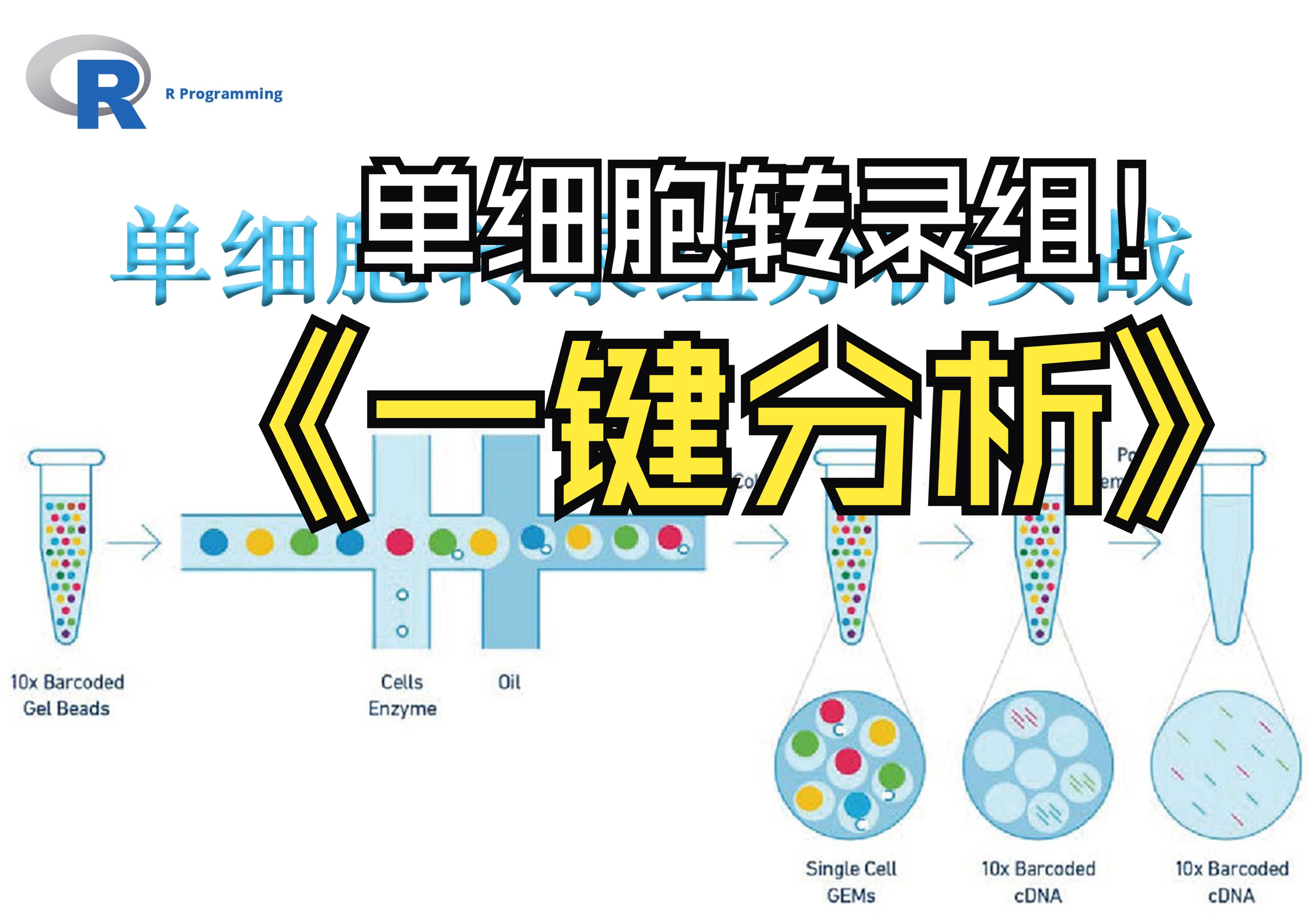 【单细胞转录组R包开发】一键进行拟时序分析之slingshot分析