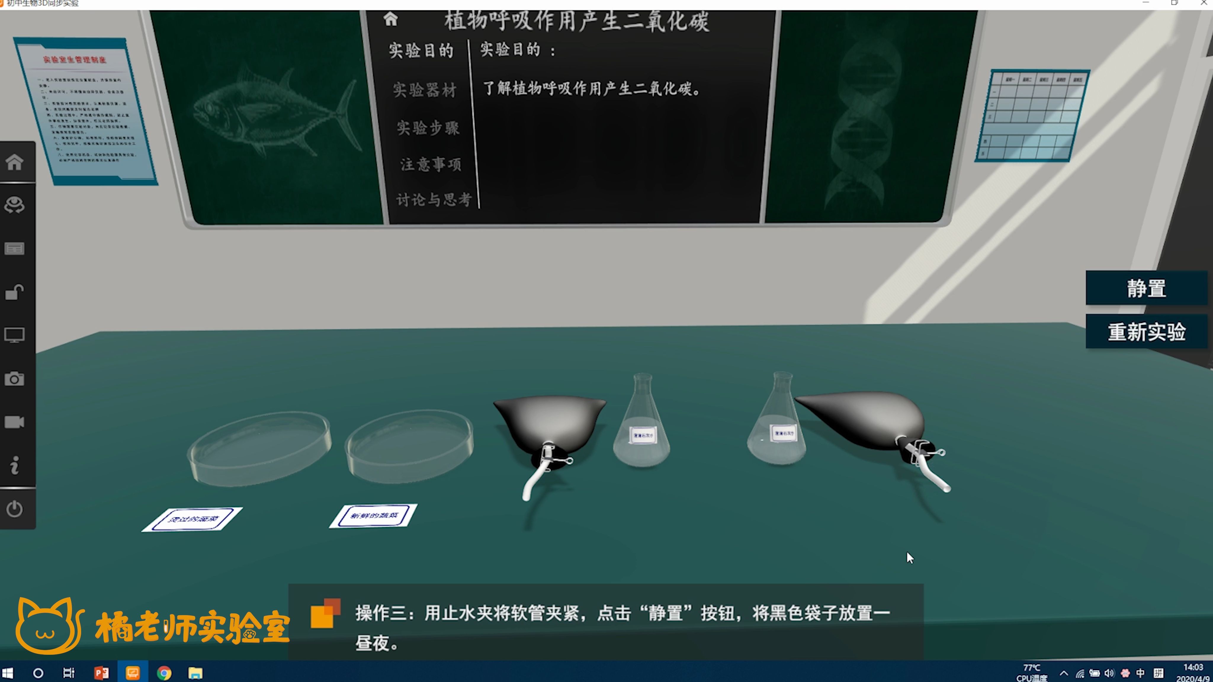 【橘老师实验室】植物呼吸作用