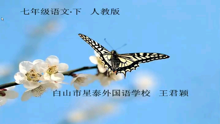 ...抓住细节》 特级教师公开课 有配套课件+教案 (逐字稿) 课堂实录 (...