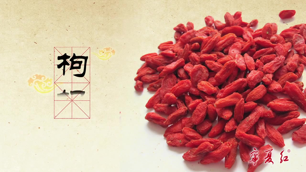 宁夏枸杞紅企业宣传片