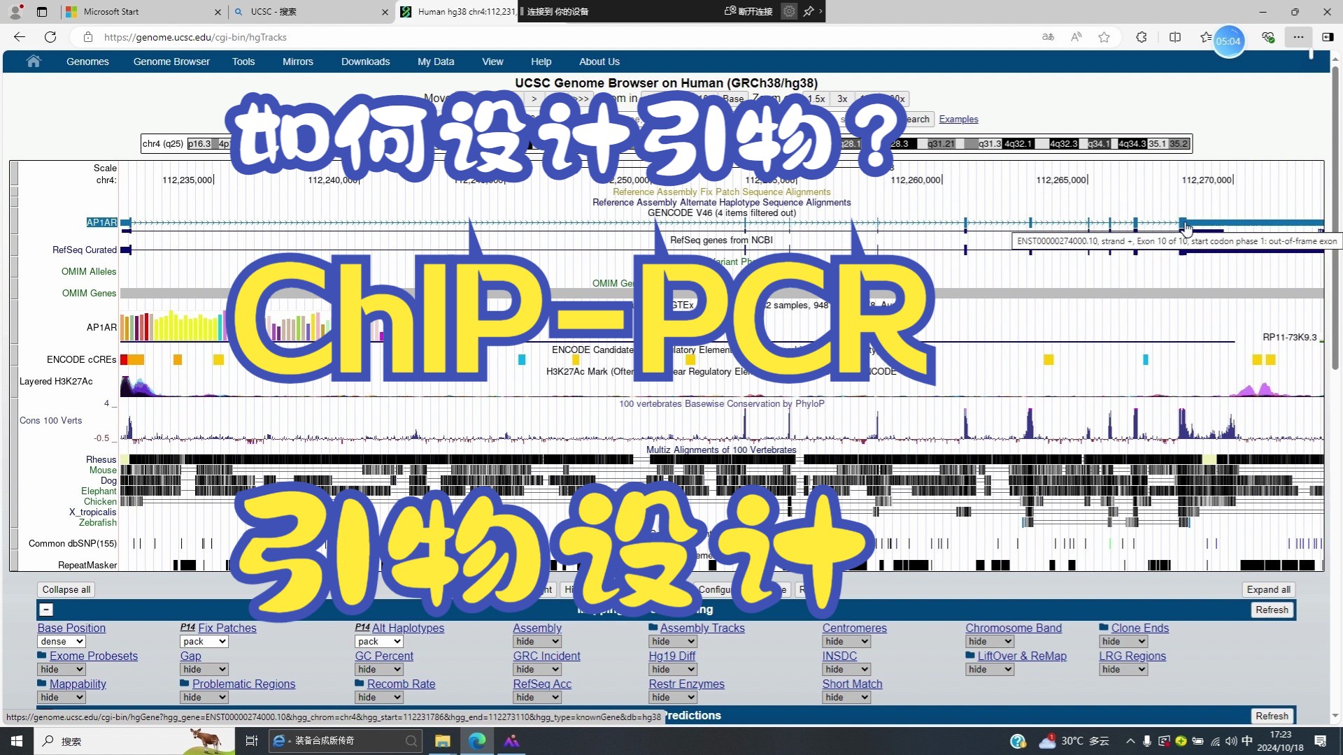 ChIP-qPCR 引物设计