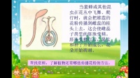 4.2.3果实和种子