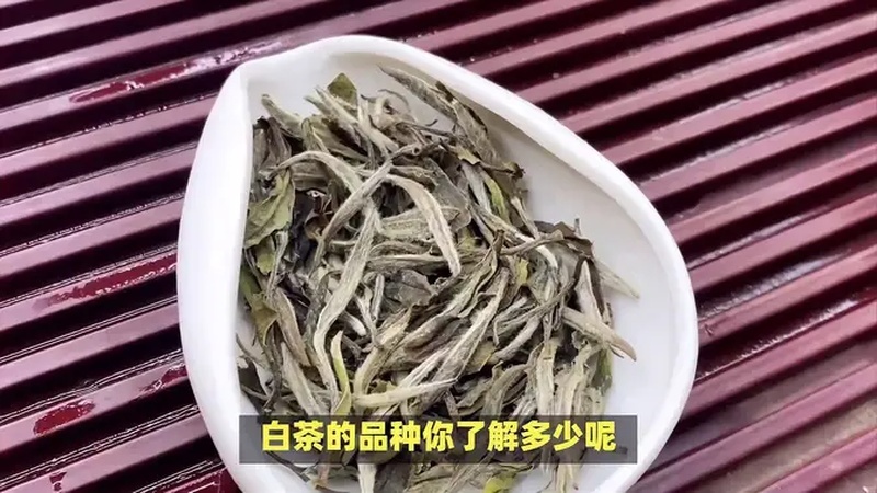 白茶知识普及:四种主要品种介绍