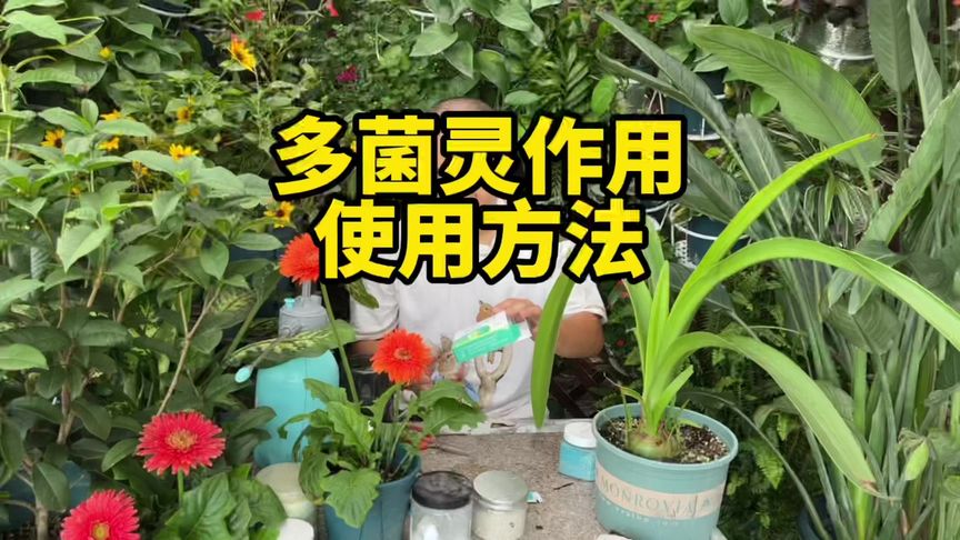 告诉你多菌灵的作用与使用方法。多菌灵是一款杀菌剂