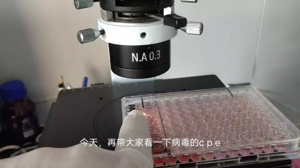 病毒培养后滴度计算。tcid50初步了解。