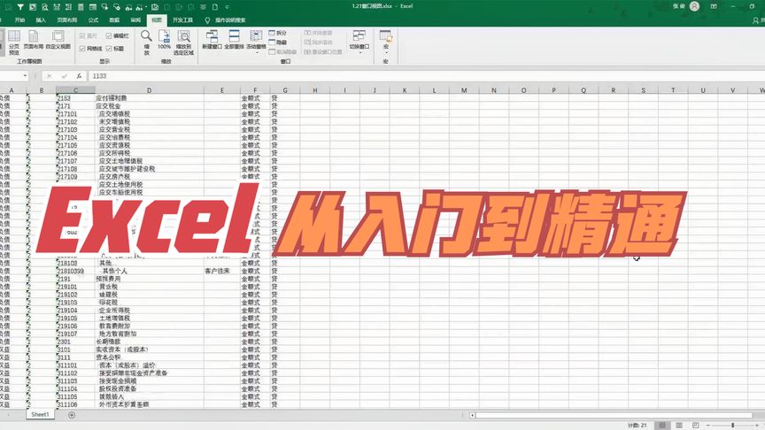 Excel从入门到精通 1.21窗口视图