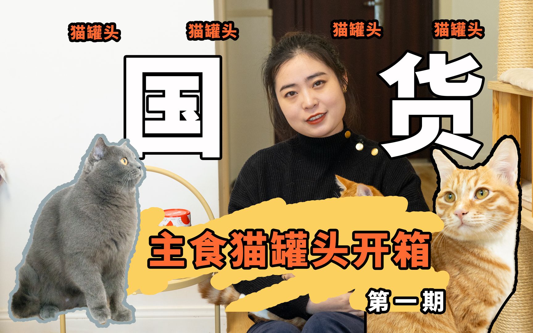 三款国产猫罐头分享|从食材配比来说,值不值得入手?猫猫是否爱吃?