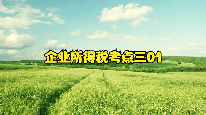 初级会计考试企业所得税考点三