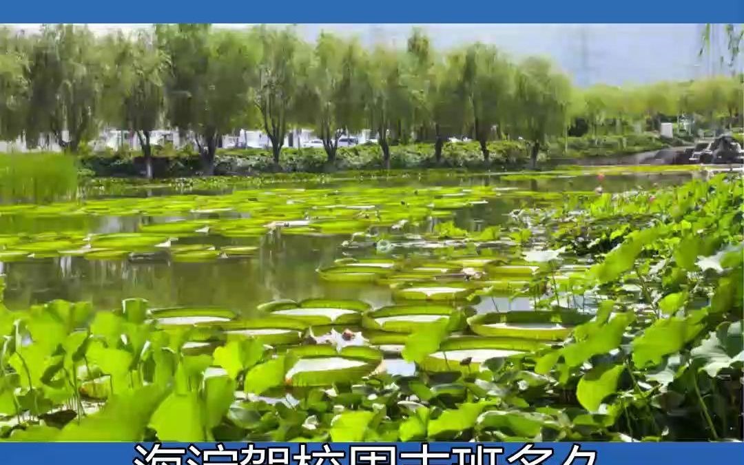 海淀驾校住宿需要什么证件