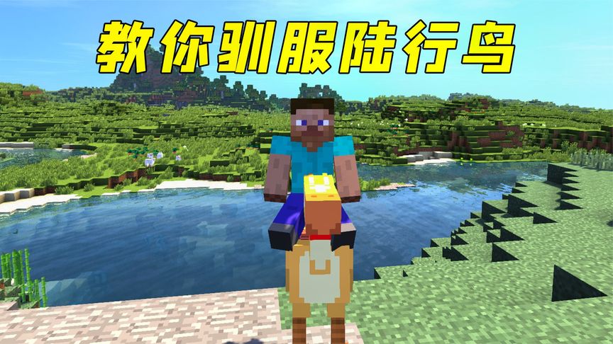 我的世界Mod：教你驯服陆行鸟！教程简单，新手也能轻松学会
