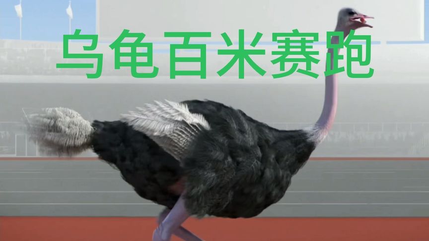 爆笑动物运动会,超级搞笑,喜欢点个关注,每天更新