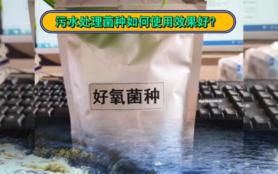 污水处理菌种如何使用效果好?河南祥之源水处理材料有限公司,微生物...