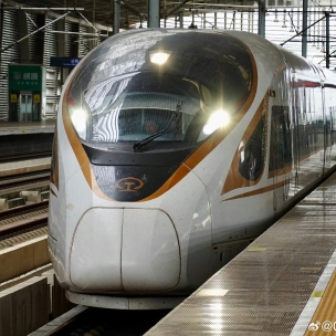 瑞龙智行不是神龙智行 