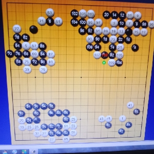 应是仙翁落子迟 