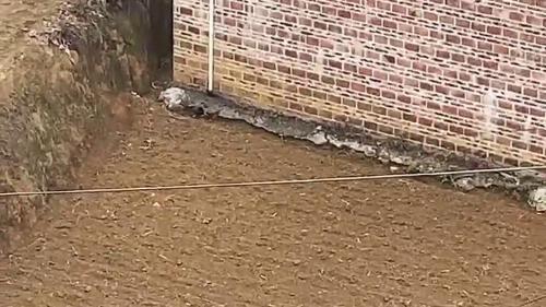 农村的房子没柱子就算了,竟然连圈梁都没有,这样建房也太节约!