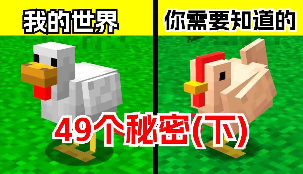 我的世界:你需要知道的49个秘密下
