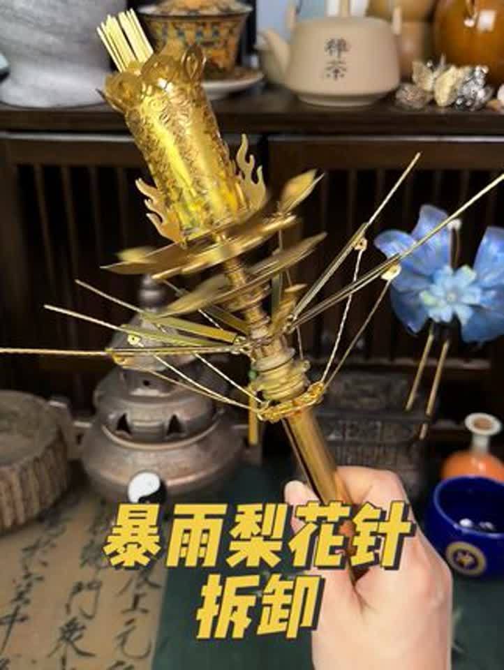 不把暴雨梨花针拆了,就不能带到京城去 一分钟不到,就化整为零了 #...