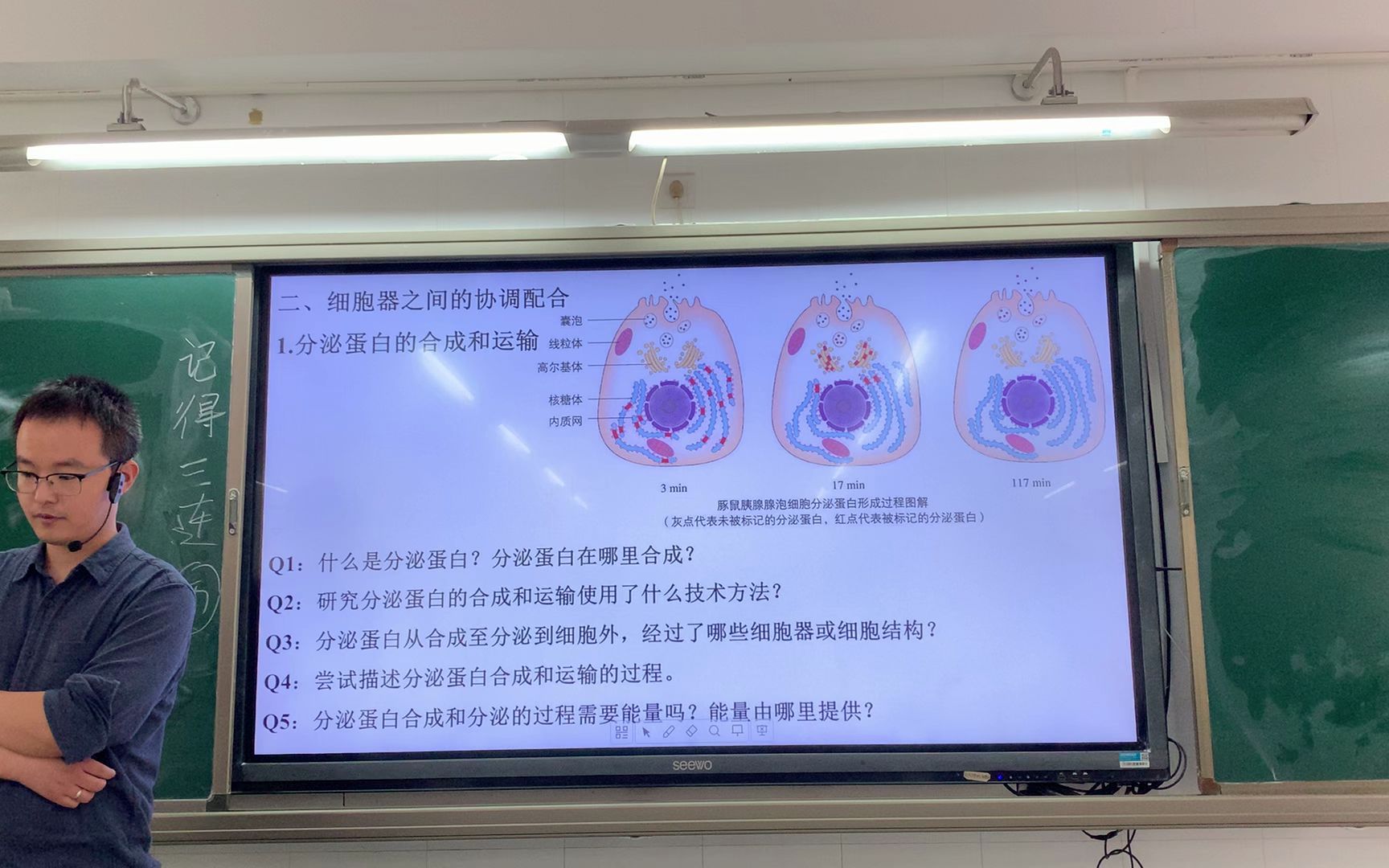 人教版新教材-11-细胞器的分工与合作第2讲