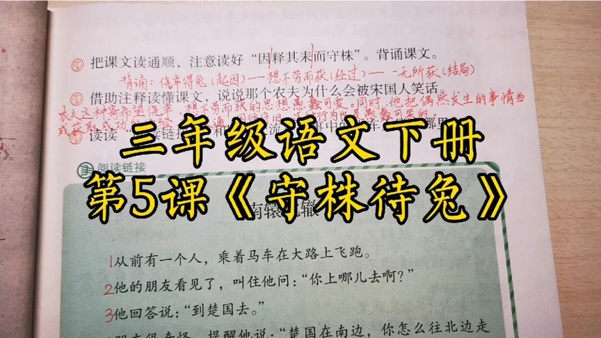 三年级语文下册第5课《守株待兔》课后习题讲解