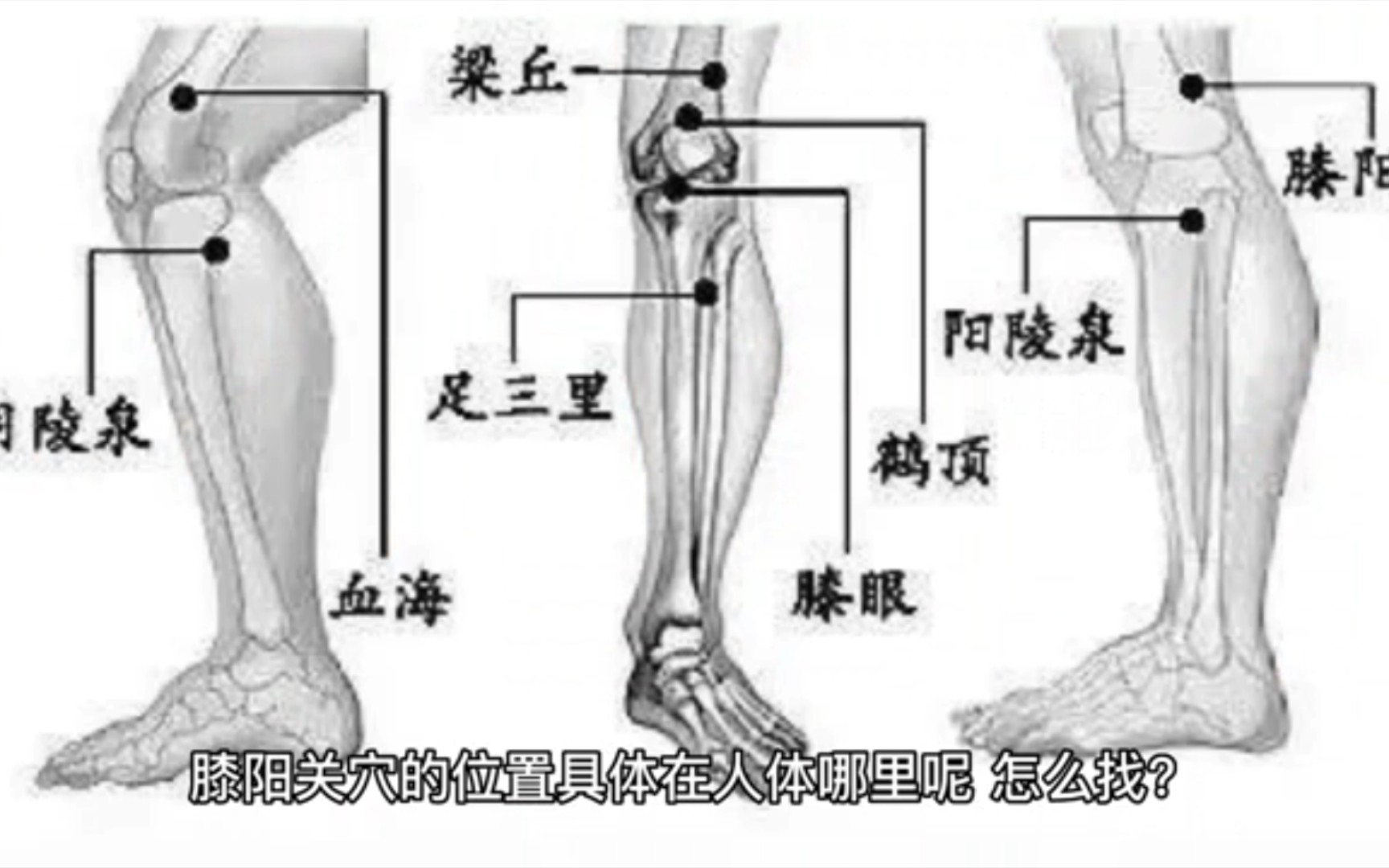 膝阳关穴位：治膝膑肿痛，腘筋挛急，小腿麻木等