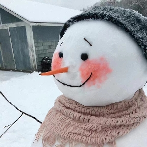 找寻自己的思想 