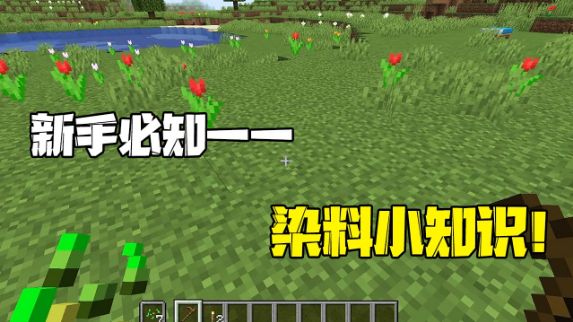 我的世界:新手必知——染料小知识!