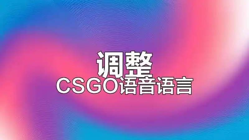 如何将CSGO无线电切换为英文
