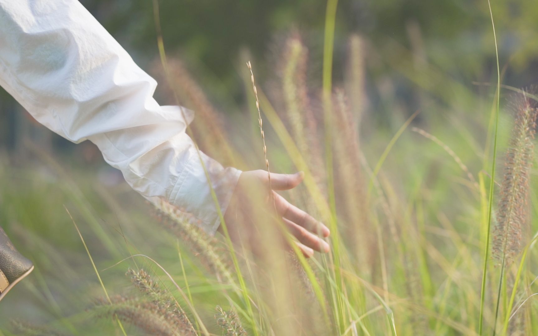 【PR教程】如何导出高清视频