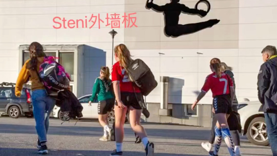 Steni外墙板案例-欧洲某学校体育馆