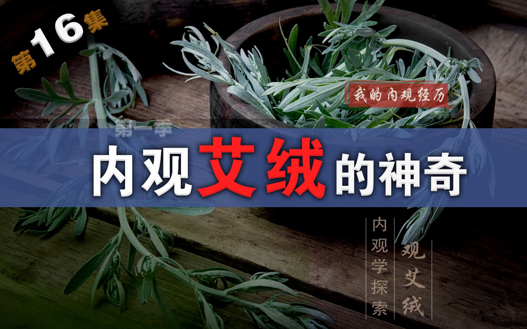 内观神奇的艾绒治好腹泻《我的内观经历》第16集 艾灸太极武术柔道...