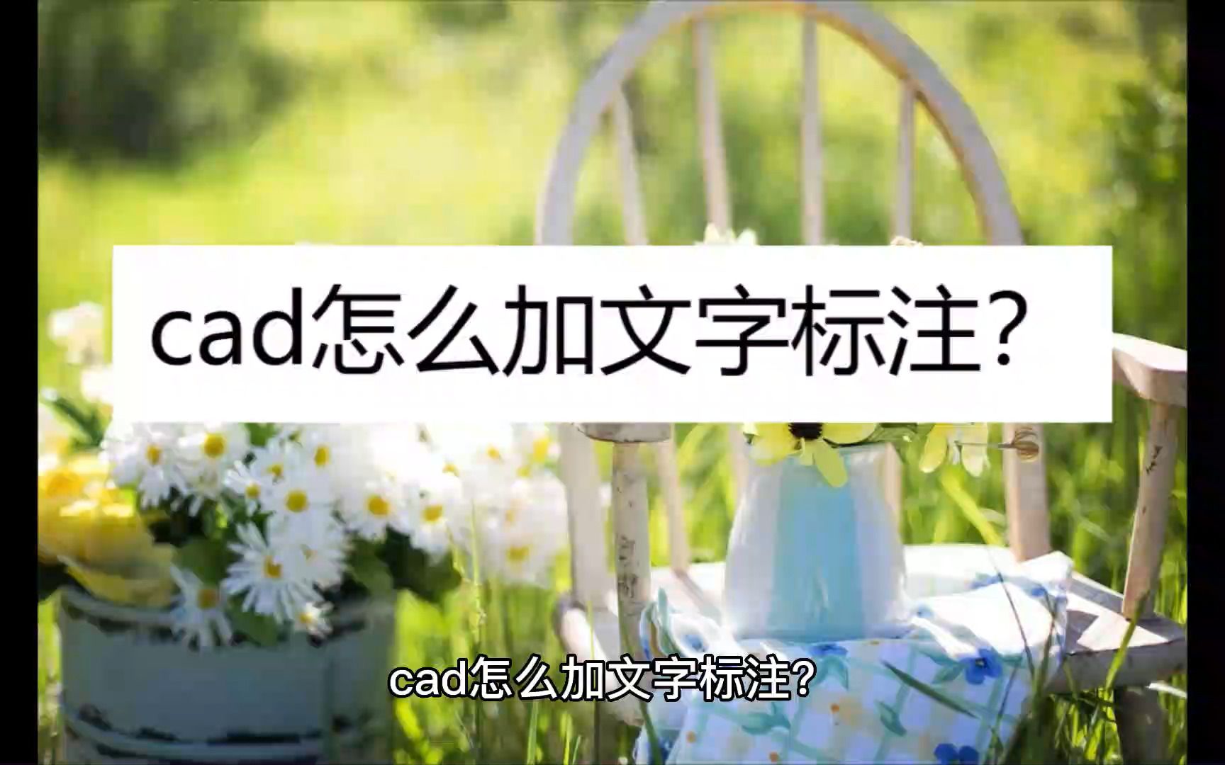 cad怎么加文字标注